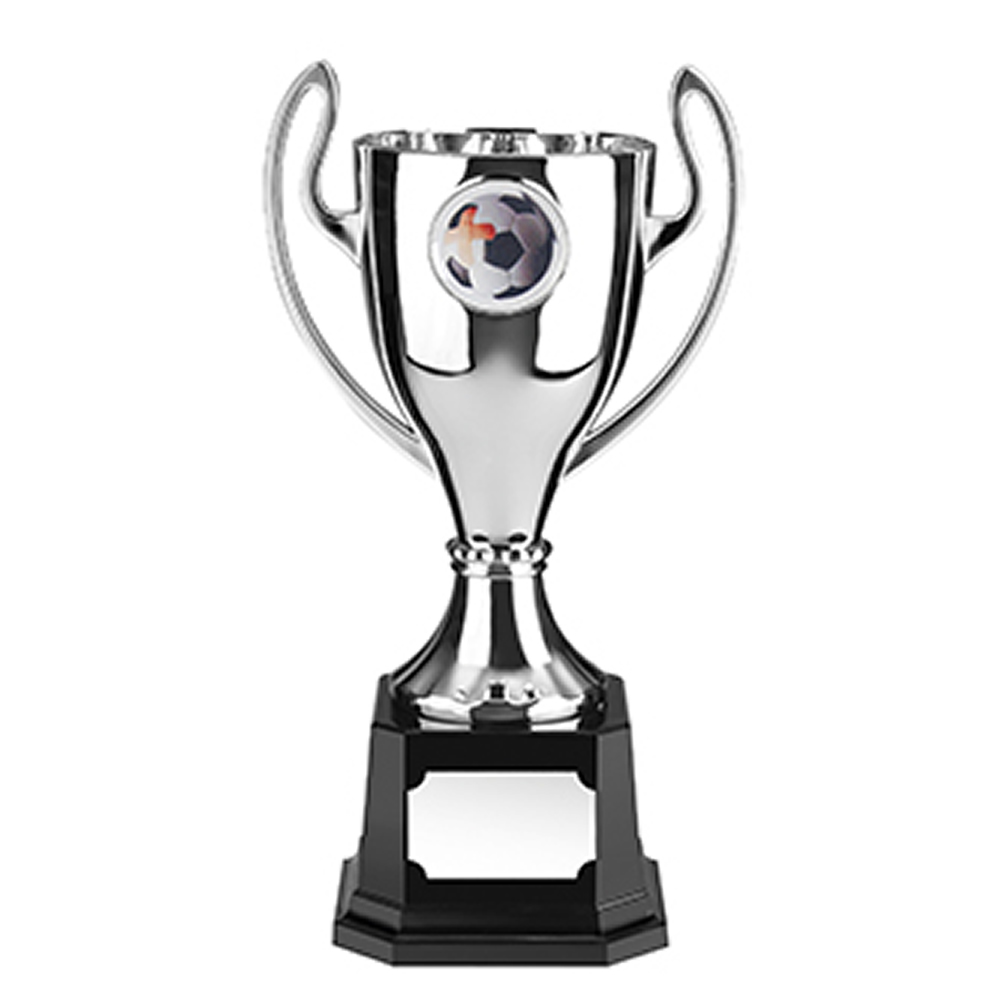 7 Inch Silver Finish Stadium Trophy Cup
